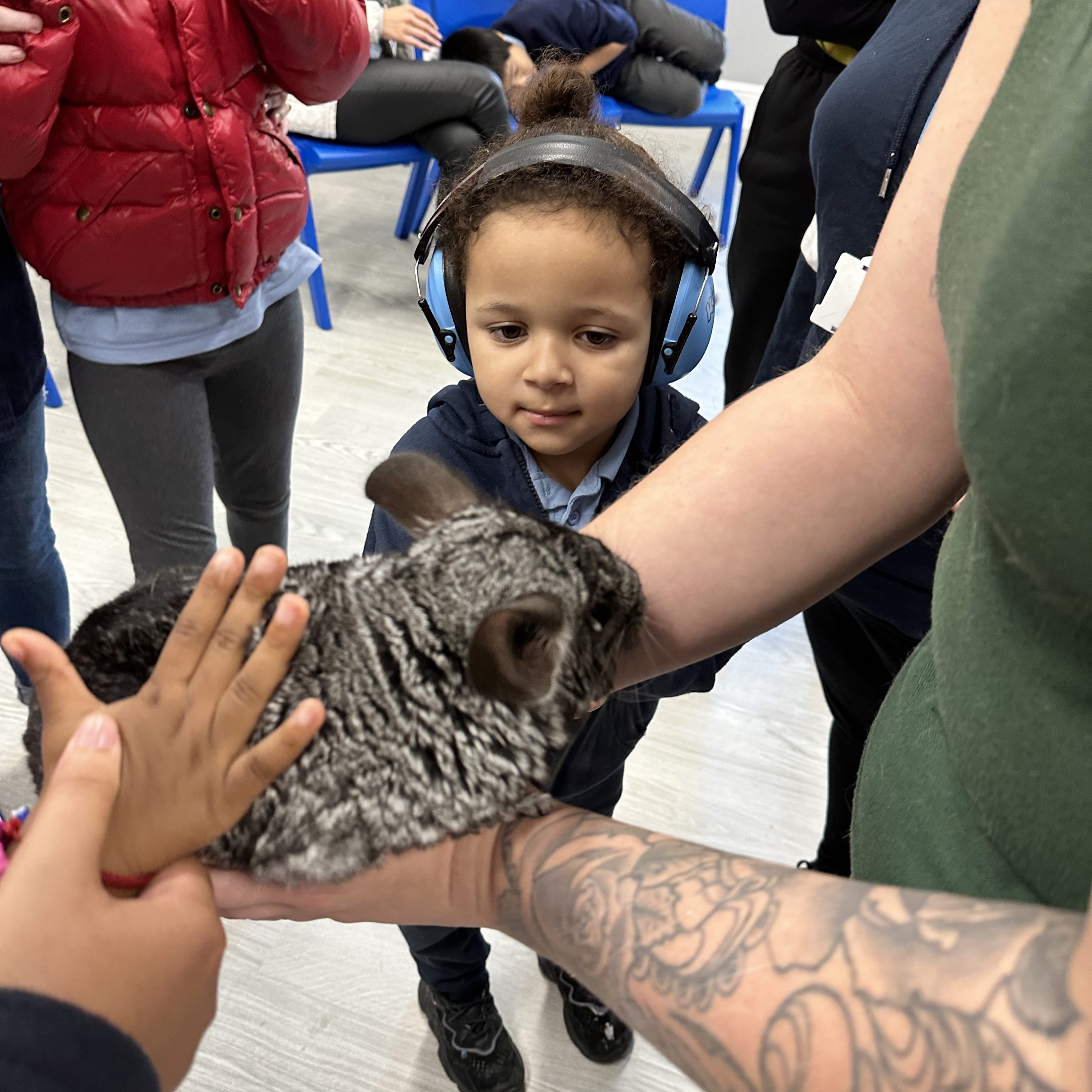 Wild Science - Kestrel House School